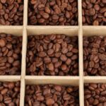 Barako Coffee: A Comprehensive Guide to the Philippines' Brew