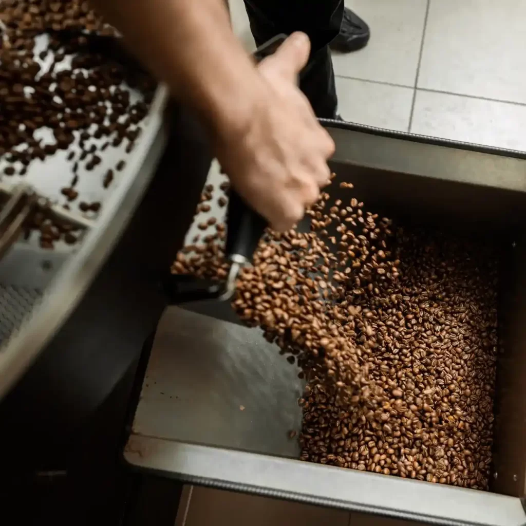 Best Puerto Rican Coffee: A Guide to the Signature Brews of Authentic ...